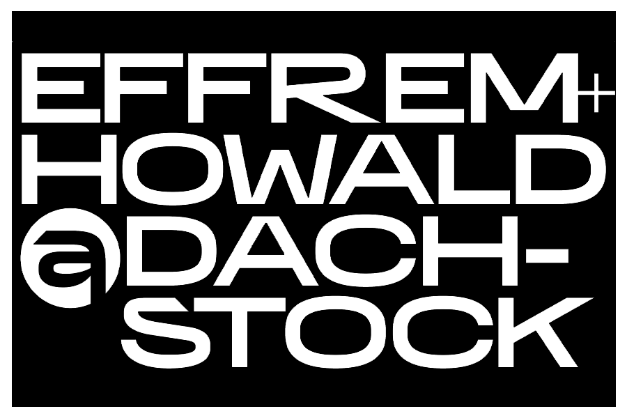 AUSSTELLUNG: EFFREM + HOWALD: ️Dachstock Bern